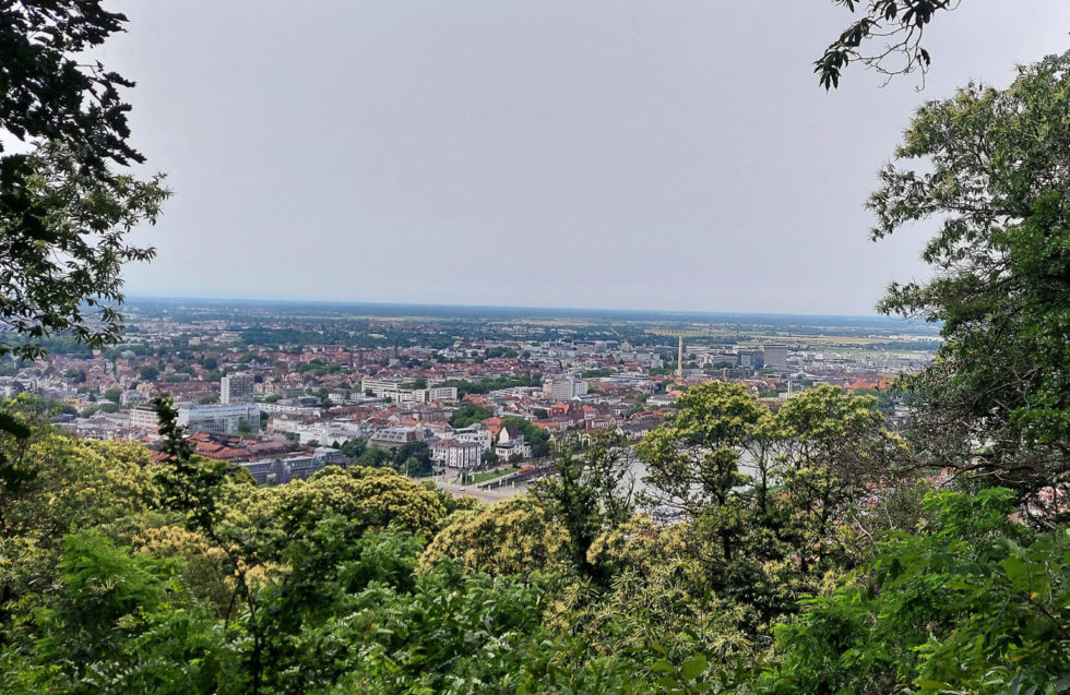 Heidelberg Philosophenweg am Heiligenberg oberhalb Neckar
